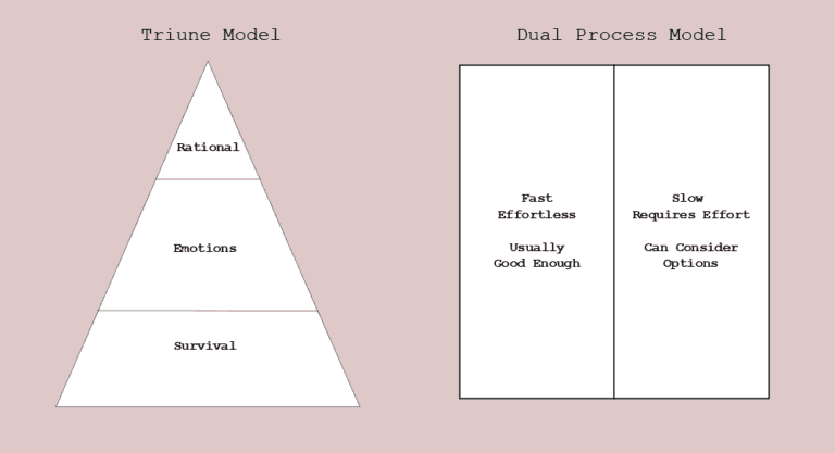 Triune and Dual Process Models of Thinking - Mental Construction